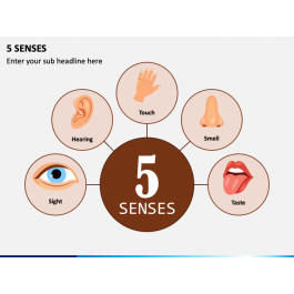 5 Senses PowerPoint and Google Slides Template - PPT Slides