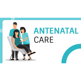 Antenatal Care PowerPoint and Google Slides Template - PPT Slides