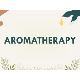 Aromatherapy PowerPoint and Google Slides Template - PPT Slides