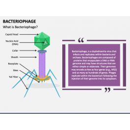 Bacteriophage PowerPoint and Google Slides Template - PPT Slides