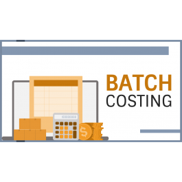 Batch Costing PowerPoint and Google Slides Template - PPT Slides
