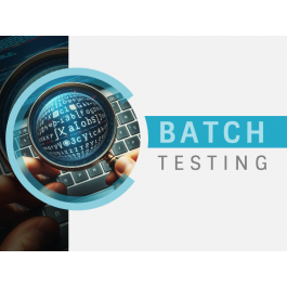 Batch Testing PowerPoint and Google Slides Template - PPT Slides