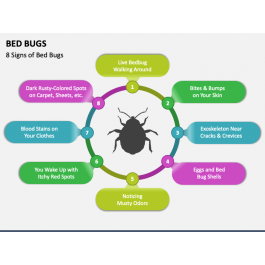 Bed Bugs PowerPoint and Google Slides Template - PPT Slides