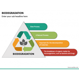 Biodegradation PowerPoint and Google Slides Template - PPT Slides