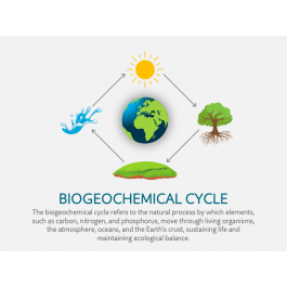 Biogeochemical Cycle PowerPoint and Google Slides Template - PPT Slides