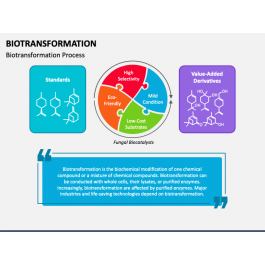 Biotransformation PowerPoint and Google Slides Template - PPT Slides
