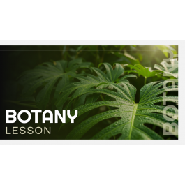 Free - Botany Lesson Presentation for PowerPoint and Google Slides ...
