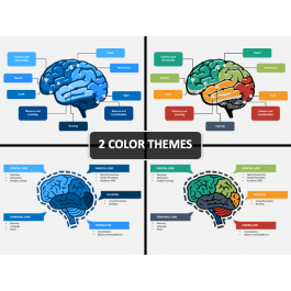 Brain Map for PowerPoint and Google Slides - PPT Slides