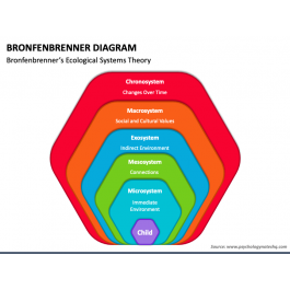 Bronfenbrenner Diagram PowerPoint and Google Slides Template - PPT Slides