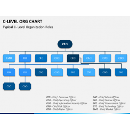 C Level ORG Chart for PowerPoint and Google Slides - PPT Slides
