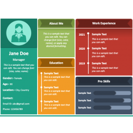 Candidate Profile PowerPoint and Google Slides Template - PPT Slides