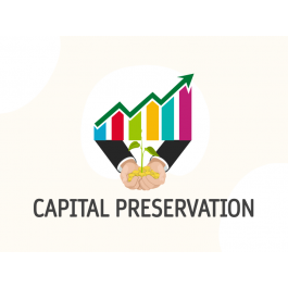 Capital Preservation PowerPoint and Google Slides Template - PPT Slides