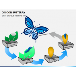 Cocoon Butterfly Diagram for PowerPoint and Google Slides - PPT Slides