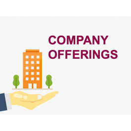 Company Offerings PowerPoint and Google Slides Template - PPT Slides