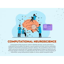 Computational Neuroscience PowerPoint and Google Slides Template - PPT ...