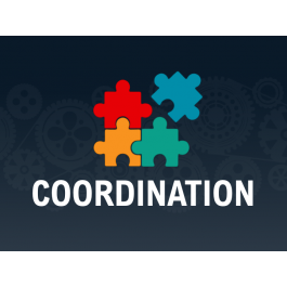 Coordination PowerPoint and Google Slides Template - PPT Slides