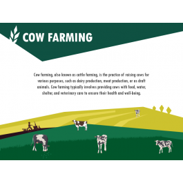 Cow Farming PowerPoint and Google Slides Template - PPT Slides