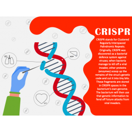 CRISPR PowerPoint and Google Slides Template - PPT Slides