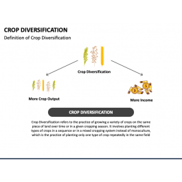 Crop Diversification PowerPoint and Google Slides Template - PPT Slides