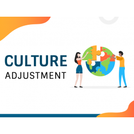 Culture Adjustment PowerPoint and Google Slides Template - PPT Slides