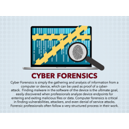 Cyber Forensics PowerPoint and Google Slides Template - PPT Slides