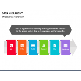 Data Hierarchy PowerPoint and Google Slides Template - PPT Slides
