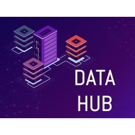 Data Hub PowerPoint and Google Slides Template - PPT Slides