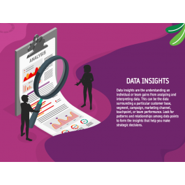 Data Insights PowerPoint and Google Slides Template - PPT Slides