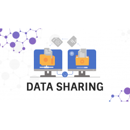 Data Sharing PowerPoint and Google Slides Template - PPT Slides