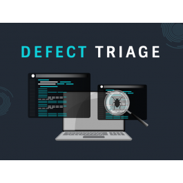 Defect Triage PowerPoint and Google Slides Template - PPT Slides
