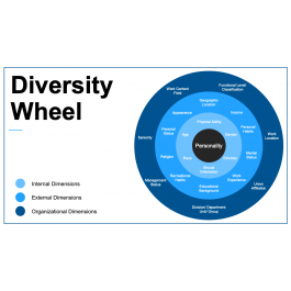 Diversity Wheel PowerPoint and Google Slides Template - PPT Slides