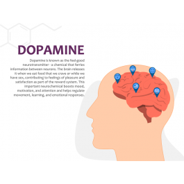 Dopamine PowerPoint and Google Slides Template - PPT Slides