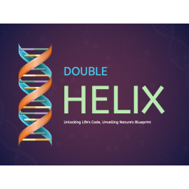 Double Helix PowerPoint Template and Google Slides Theme - PPT Slides