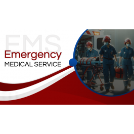 Free - Emergency Medical Service Theme for PowerPoint and Google Slides ...