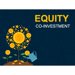 Equity Co-Investment PowerPoint and Google Slides Template - PPT Slides
