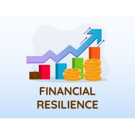 Financial Resilience PowerPoint and Google Slides Template - PPT Slides