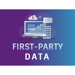First-Party Data PowerPoint and Google Slides Template - PPT Slides