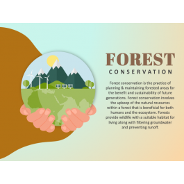 Forest Conservation PowerPoint and Google Slides Template - PPT Slides