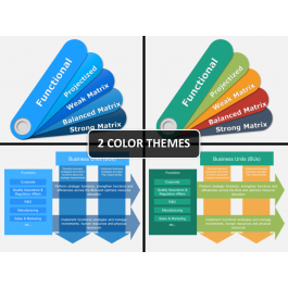 Functional Organization PowerPoint and Google Slides Template - PPT Slides