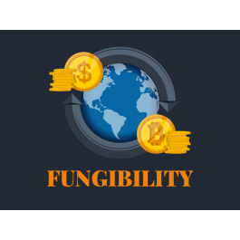 Fungibility PowerPoint and Google Slides Template - PPT Slides