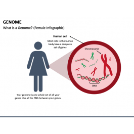Genome PowerPoint and Google Slides Template - PPT Slides