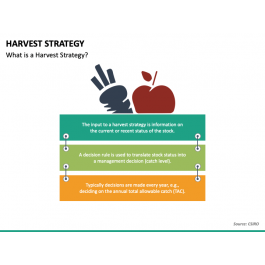 Harvest Strategy PowerPoint and Google Slides Template - PPT Slides