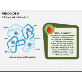 Hemoglobin PowerPoint and Google Slides Template - PPT Slides