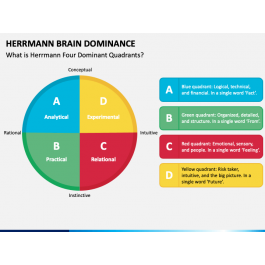 Herrmann Brain Dominance PowerPoint and Google Slides Template - PPT Slides
