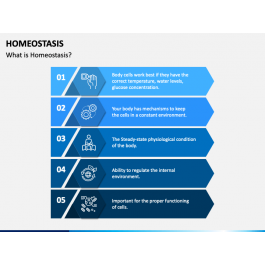 Homeostasis PowerPoint and Google Slides Template - PPT Slides