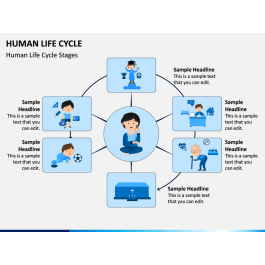 Human Life Cycle PowerPoint and Google Slides Template - PPT Slides