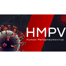 Free - Human Metapneumovirus (HMPV) PowerPoint and Google Slides ...