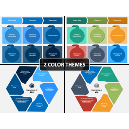 Importance of MIS PowerPoint and Google Slides Template - PPT Slides