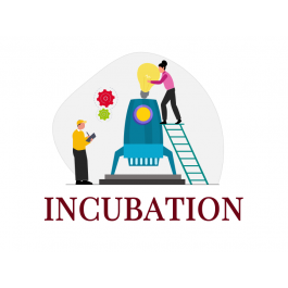 Incubation PowerPoint and Google Slides Template - PPT Slides