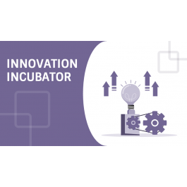 Innovation Incubator PowerPoint and Google Slides Template - PPT Slides
